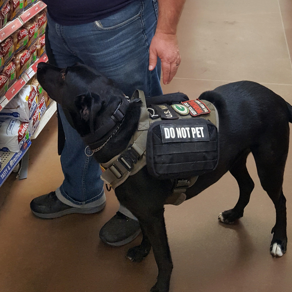 Georgia K9 Training